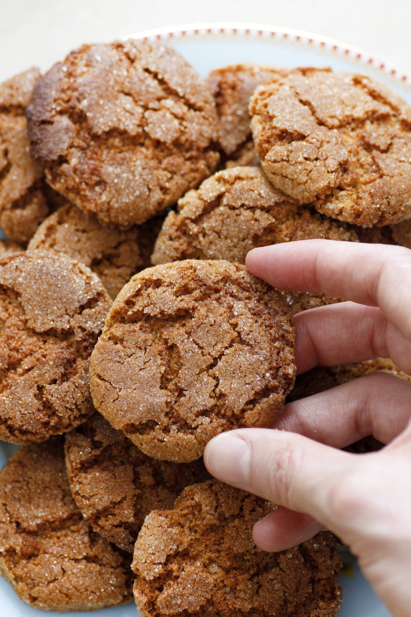 Soft Gingersnap Cookies Lil Cookie soft-gingersnap-cookies-lil-cookie