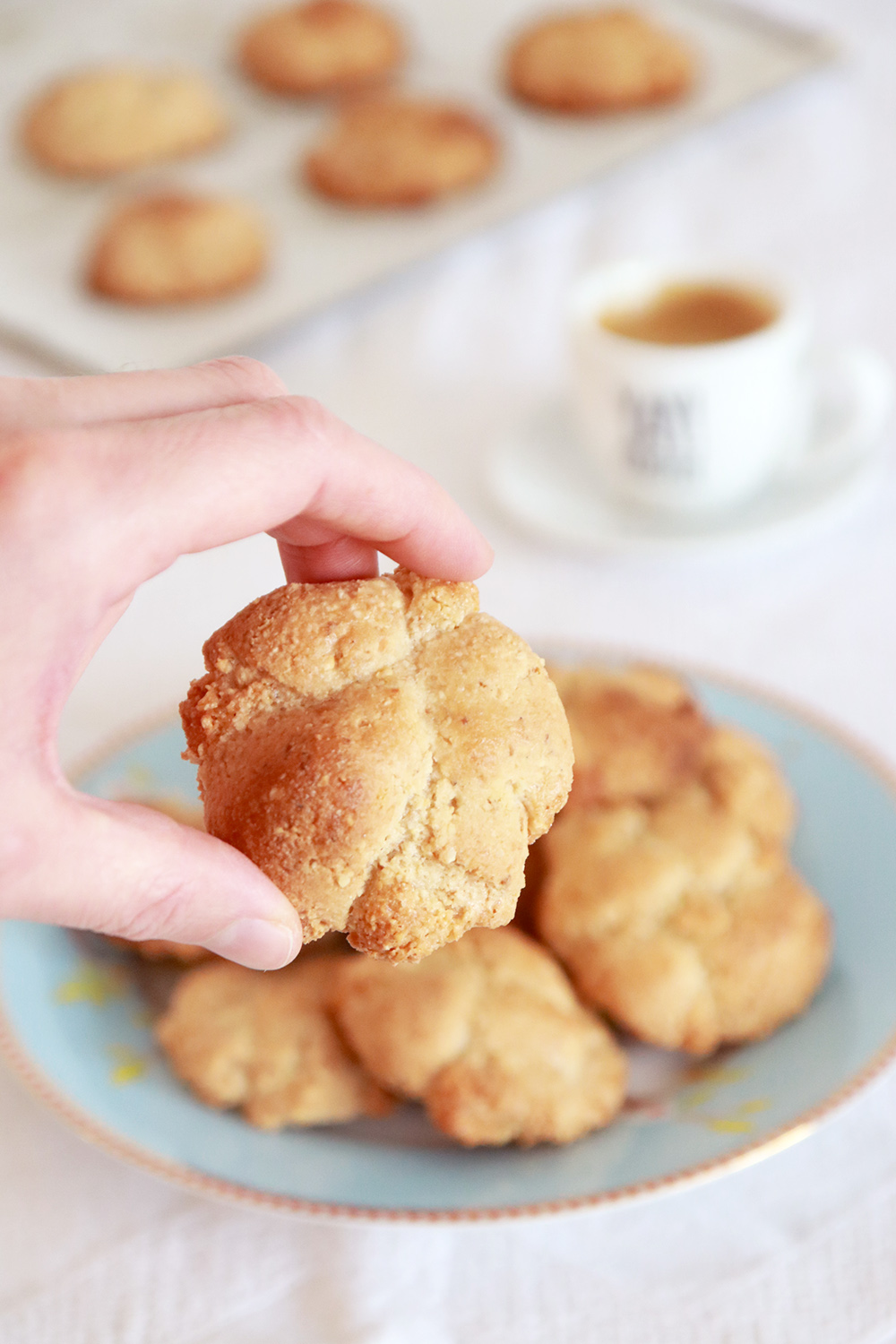 Brutti Ma Buoni – Italian Hazelnut Cookies | Lil' Cookie